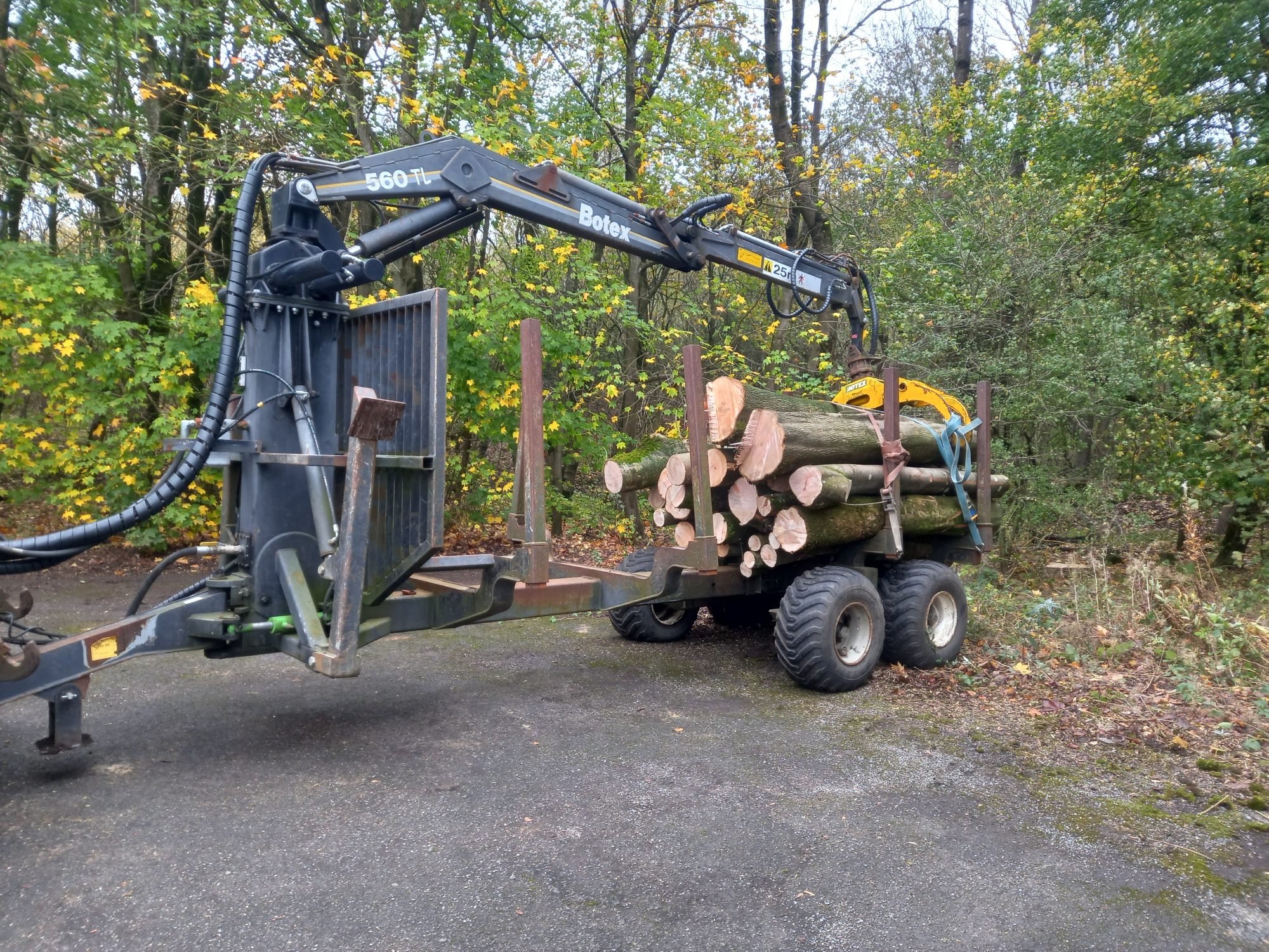 Ash dieback - tree felling in Chatburn • CMS Tree Services