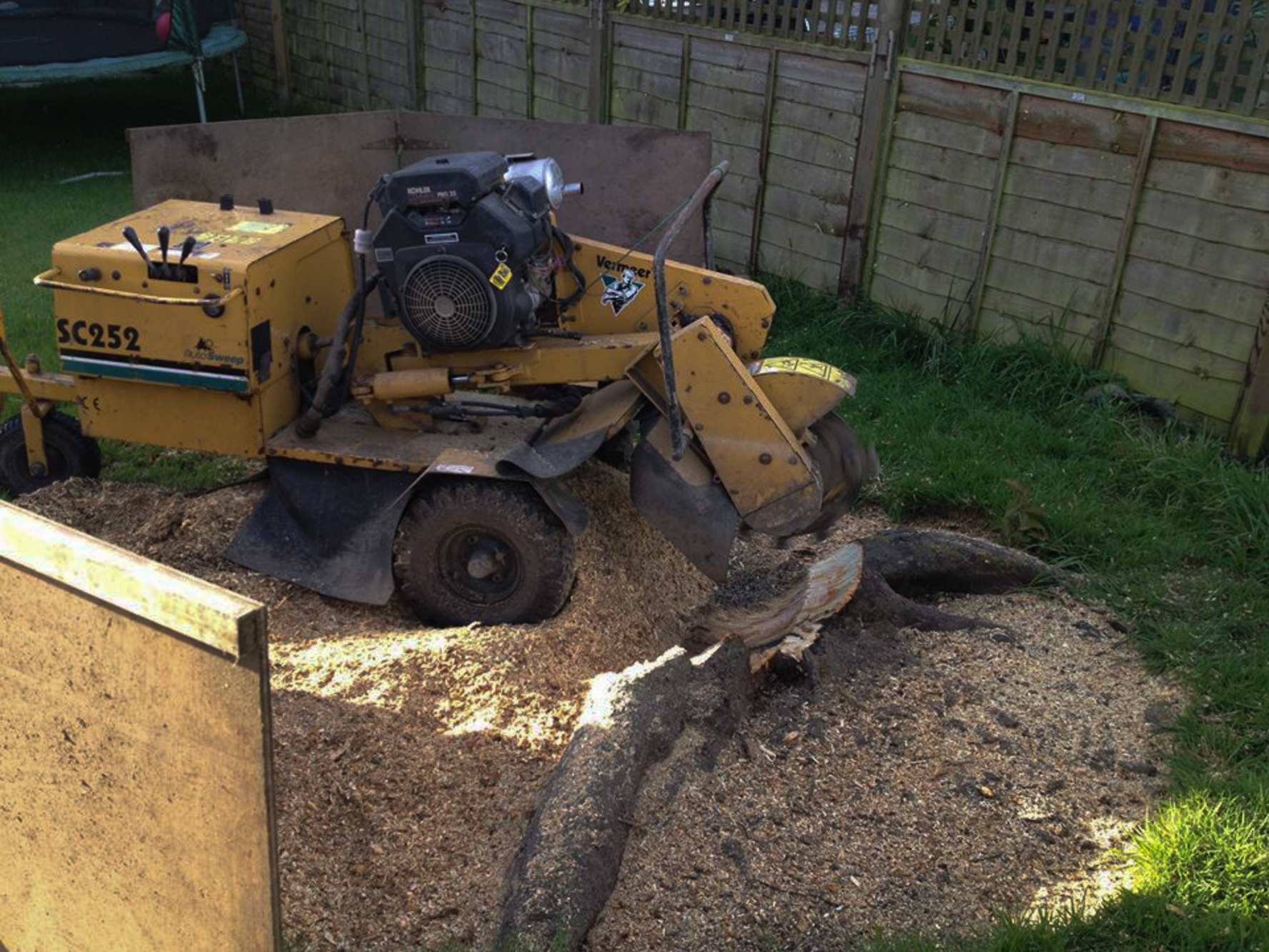 Stump Grinding - CMS Tree Services