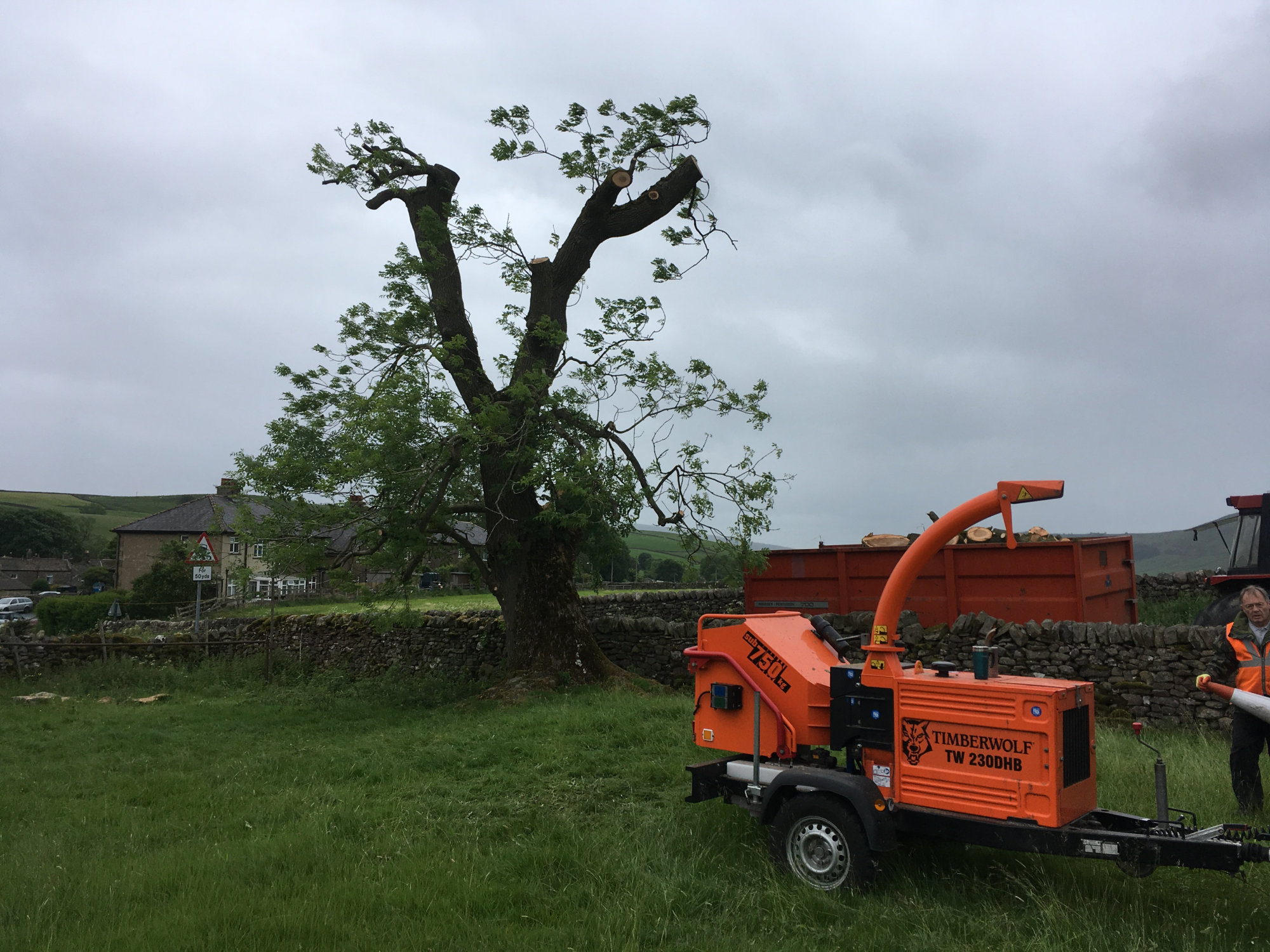 Ash tree reduction in Hebden • CMS Tree Services
