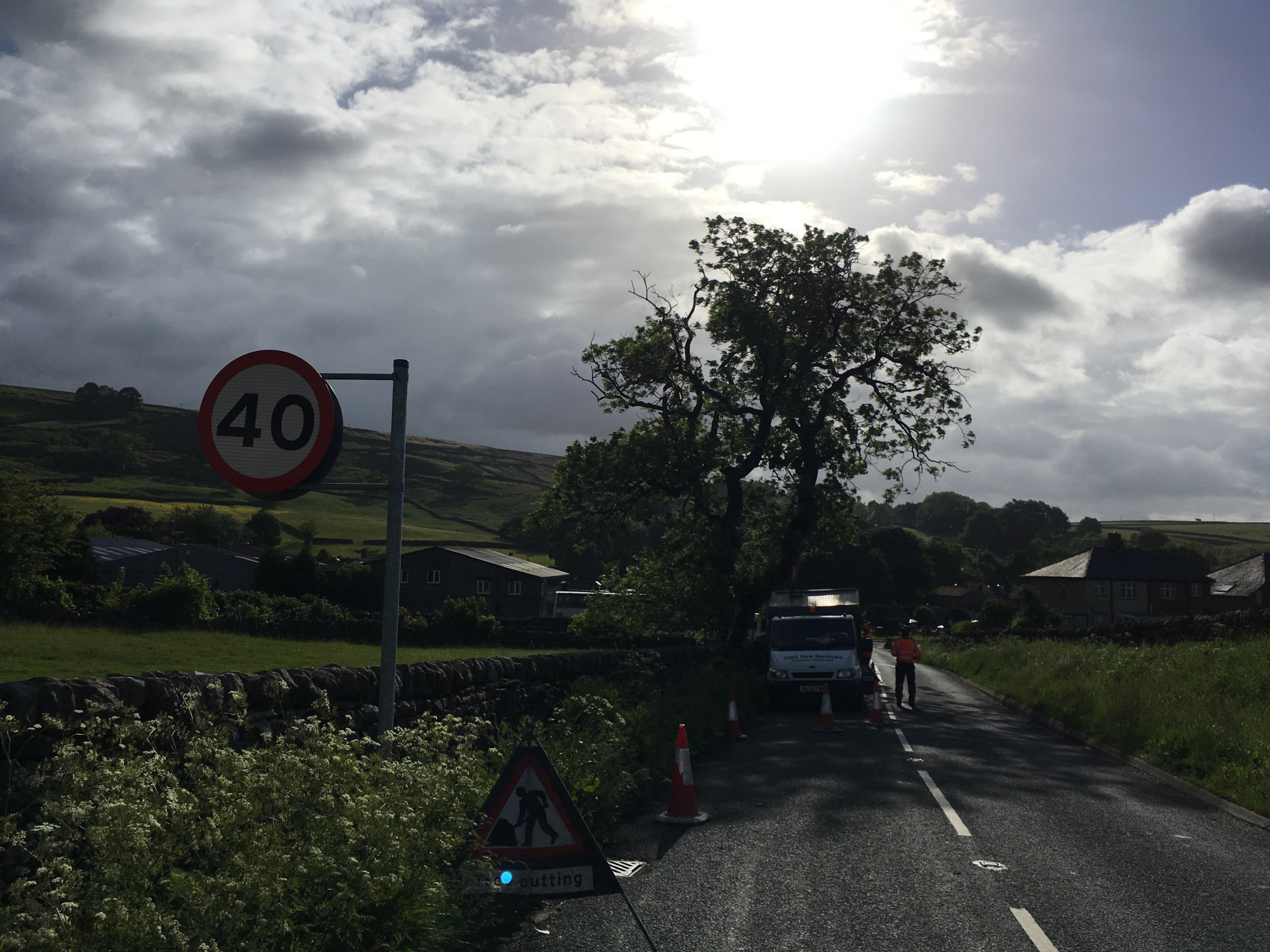 Ash tree reduction in Hebden • CMS Tree Services