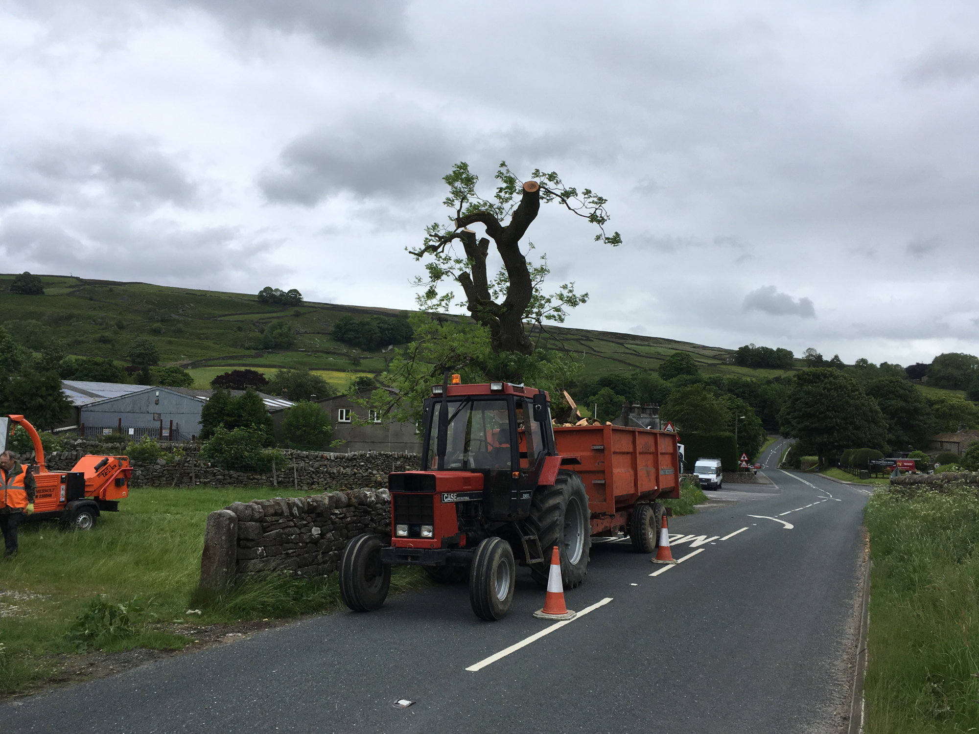Ash tree reduction in Hebden • CMS Tree Services