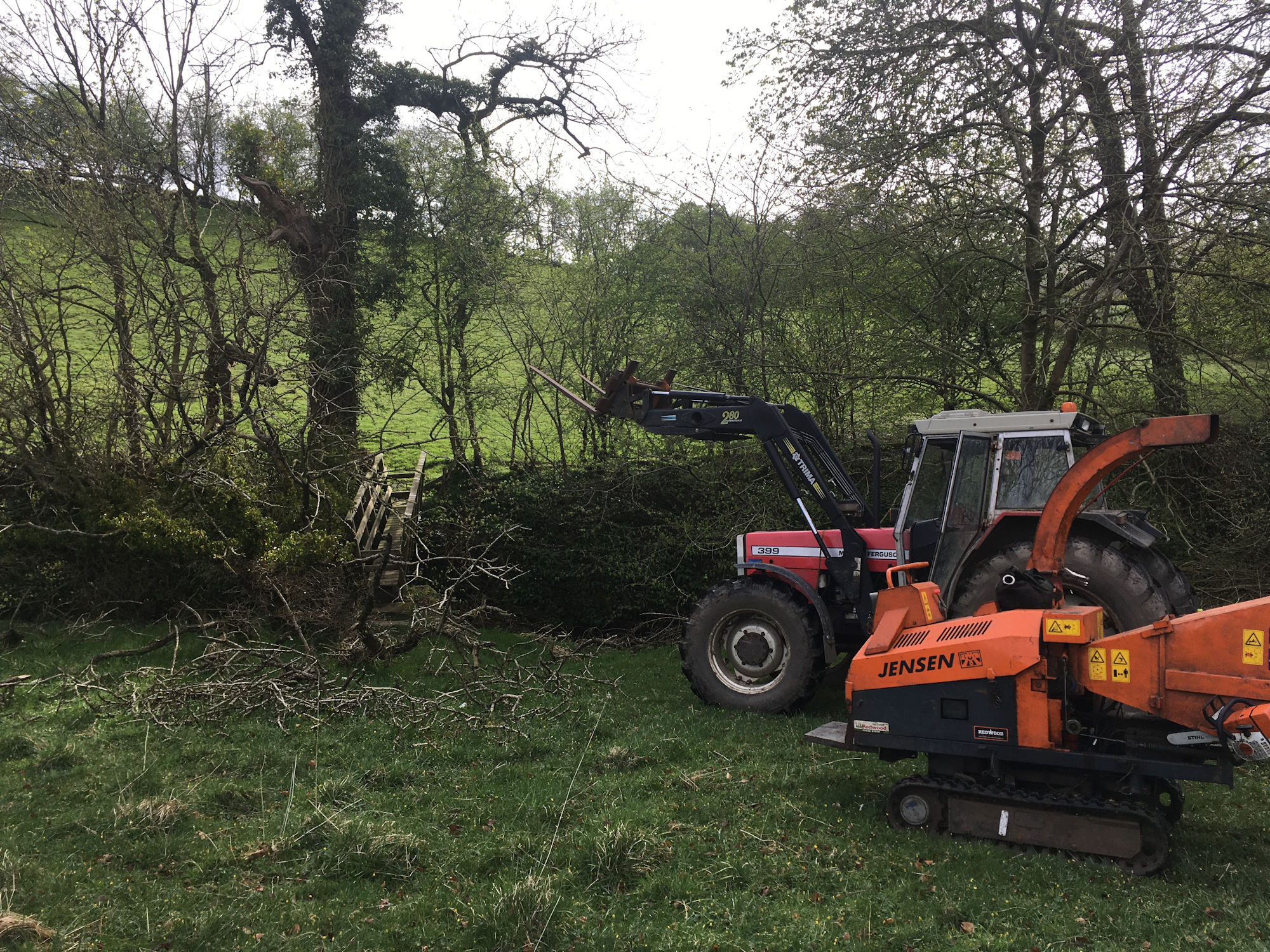 Fallen bough in Grindleton • CMS Tree Services
