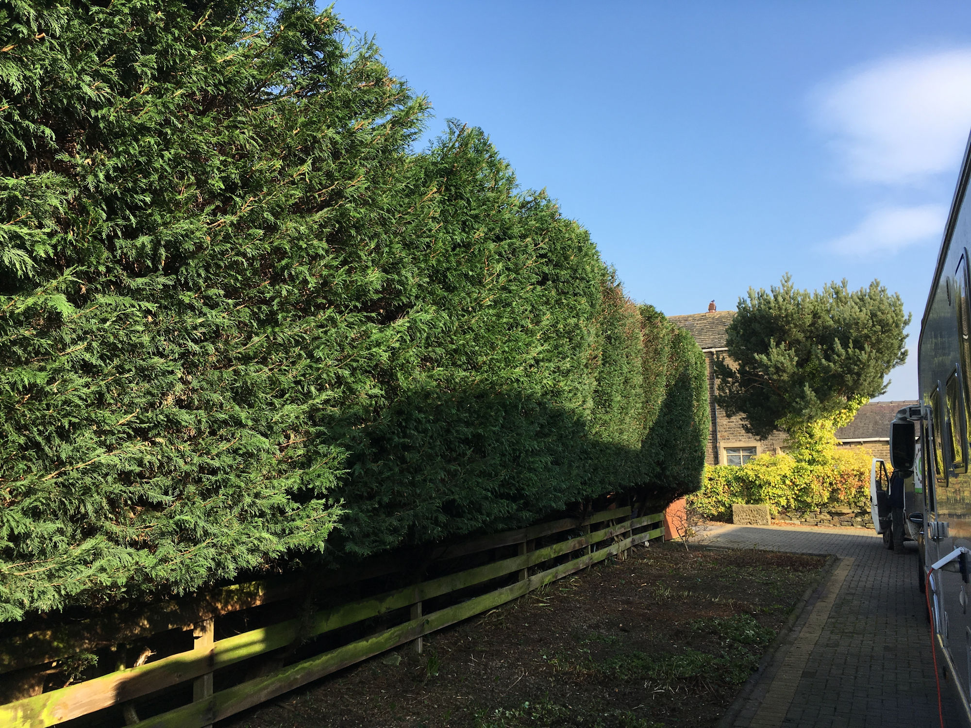 Large hedge reduction and trim in Colne • CMS Tree Services