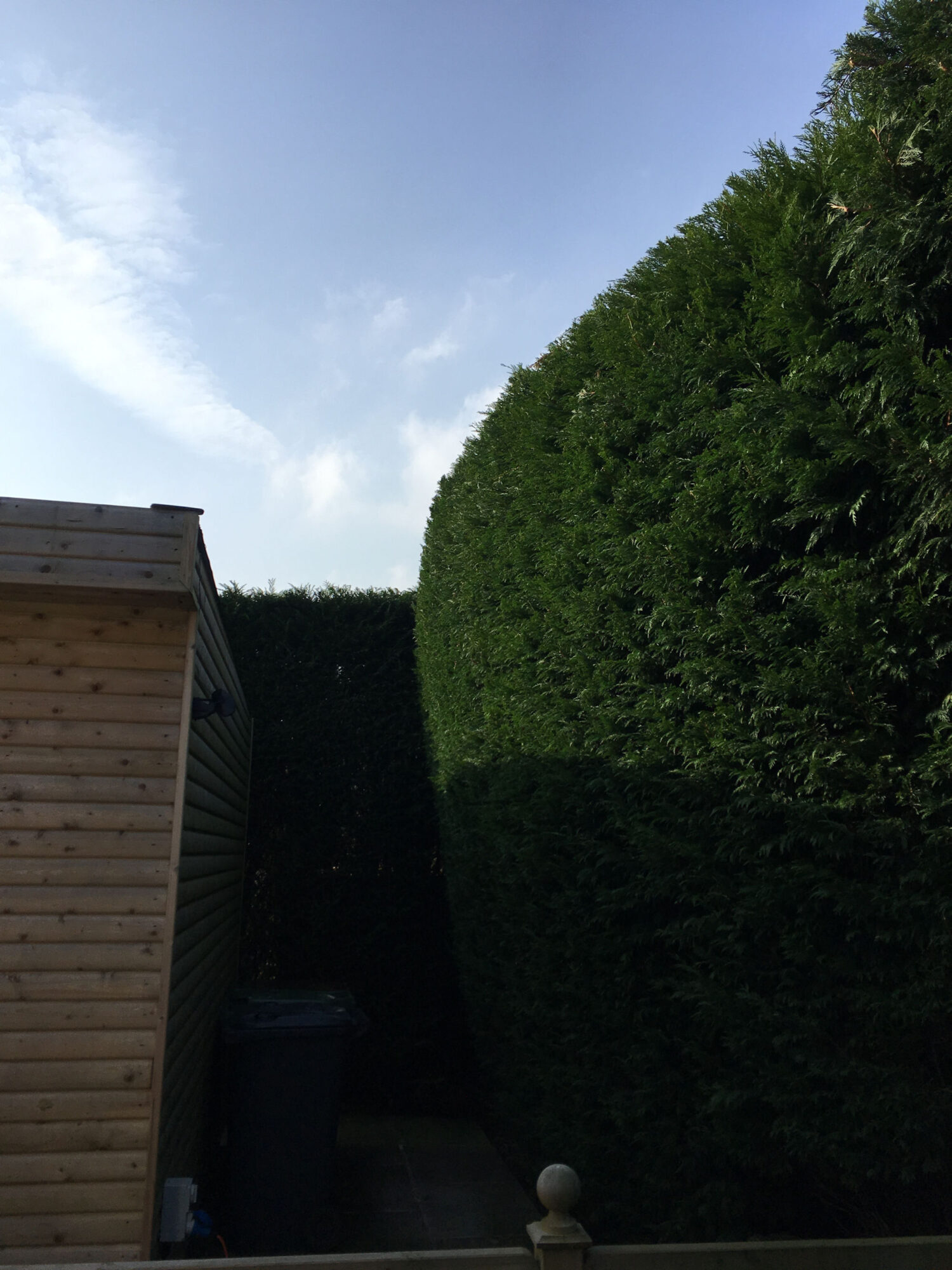 Large hedge reduction and trim in Colne • CMS Tree Services