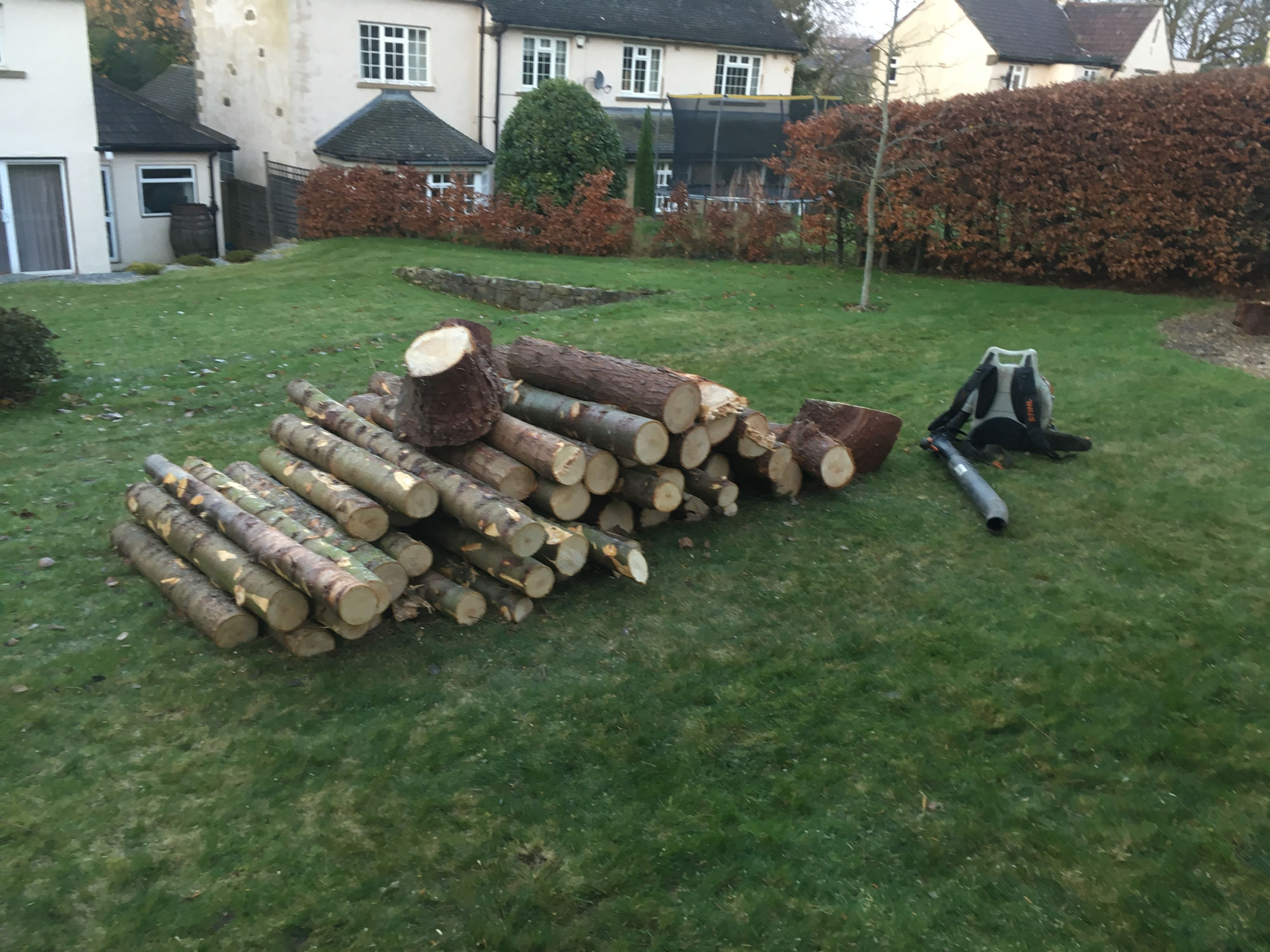 Large conifer removal and stump grinding in Wharfedale • CMS Tree Services