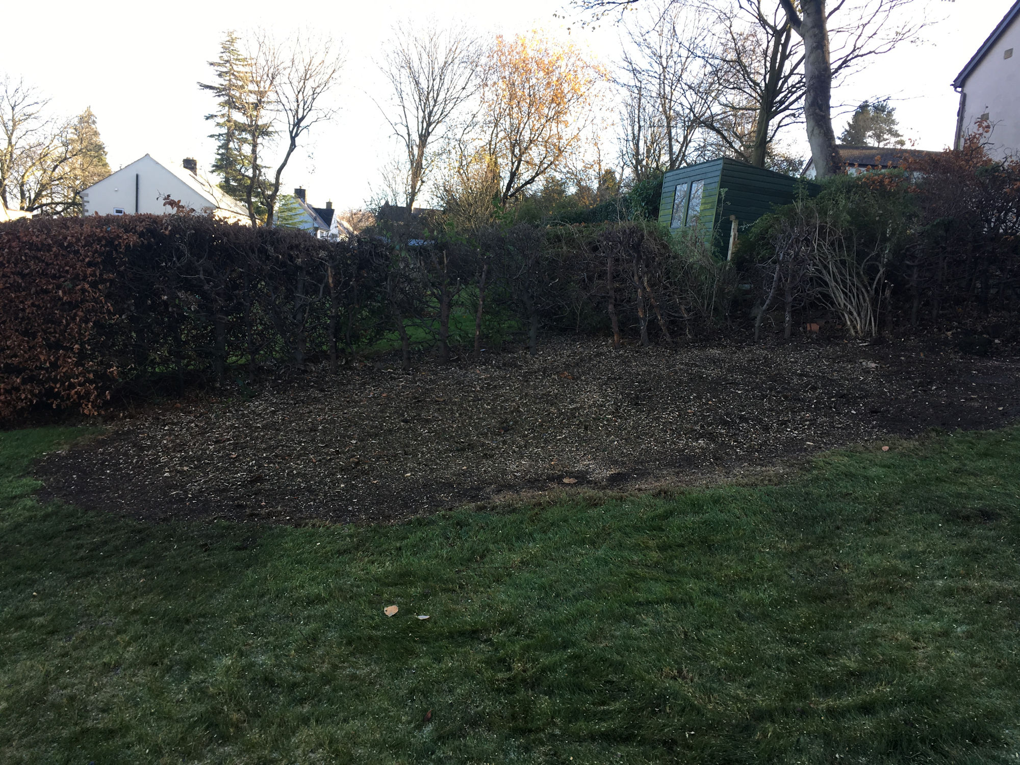 Large conifer removal and stump grinding in Wharfedale • CMS Tree Services