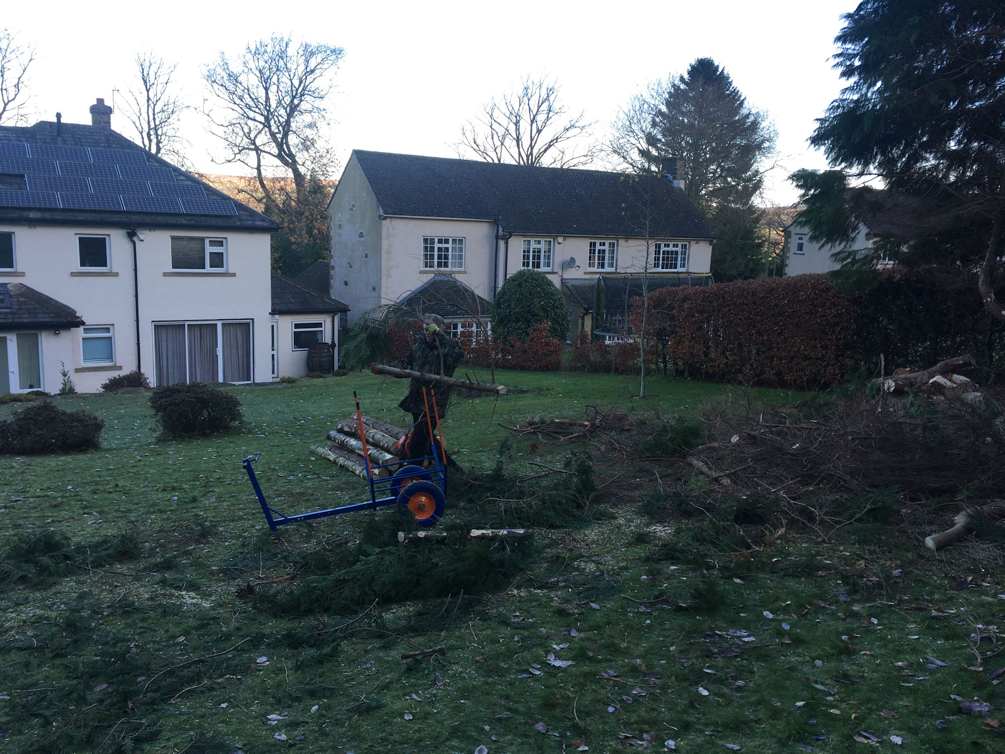 Large conifer removal and stump grinding in Wharfedale • CMS Tree Services