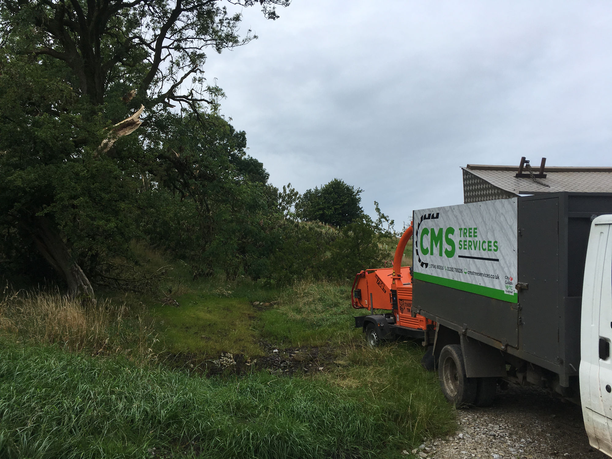 Damaged tree clearance in Thornton • CMS Tree Services