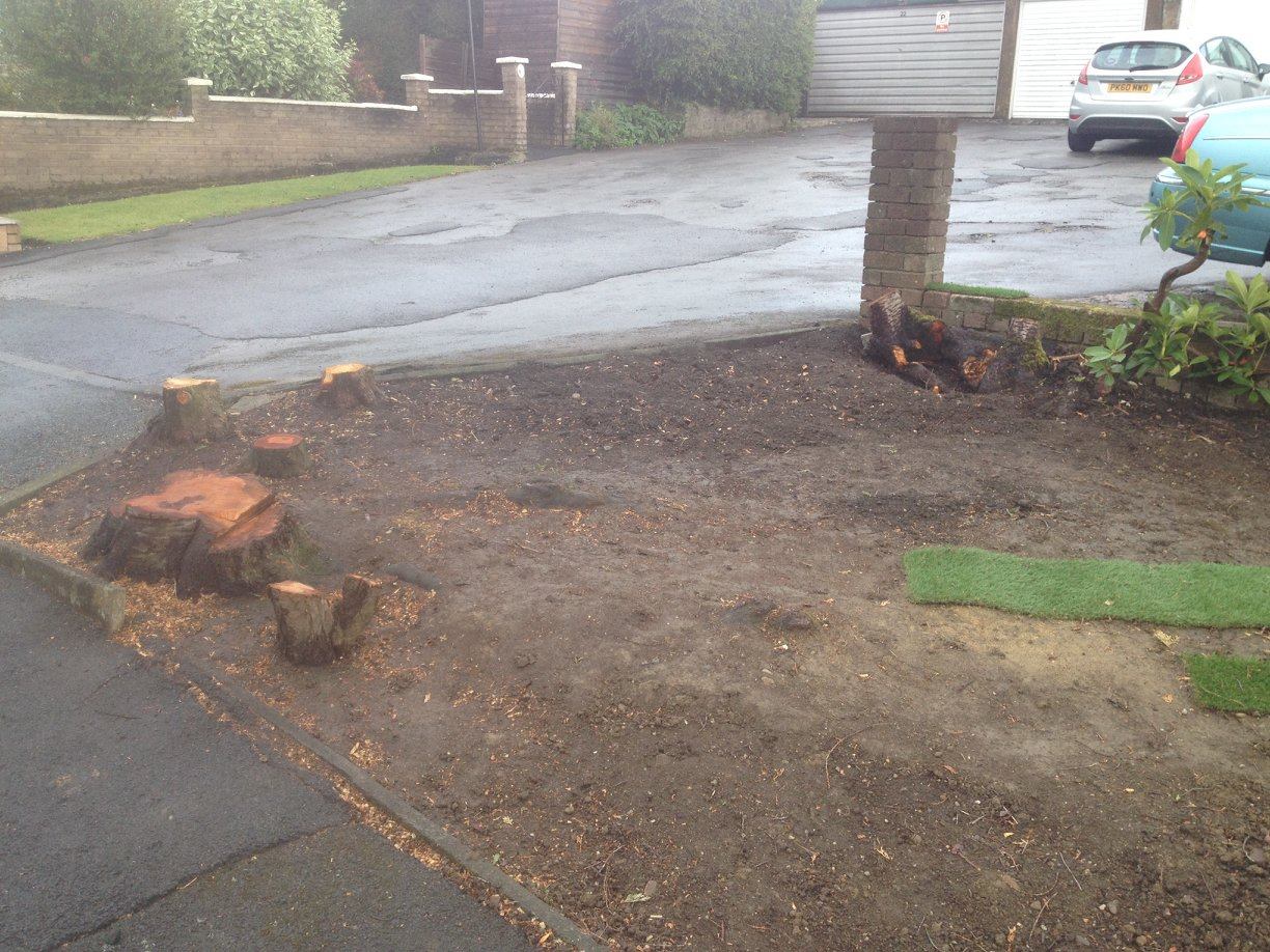 Stumps Ground Out In Barnoldswick • CMS Tree Services