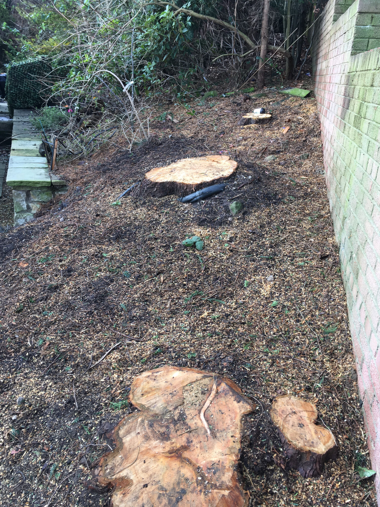 Stump grinding in Barnoldswick • CMS Tree Services