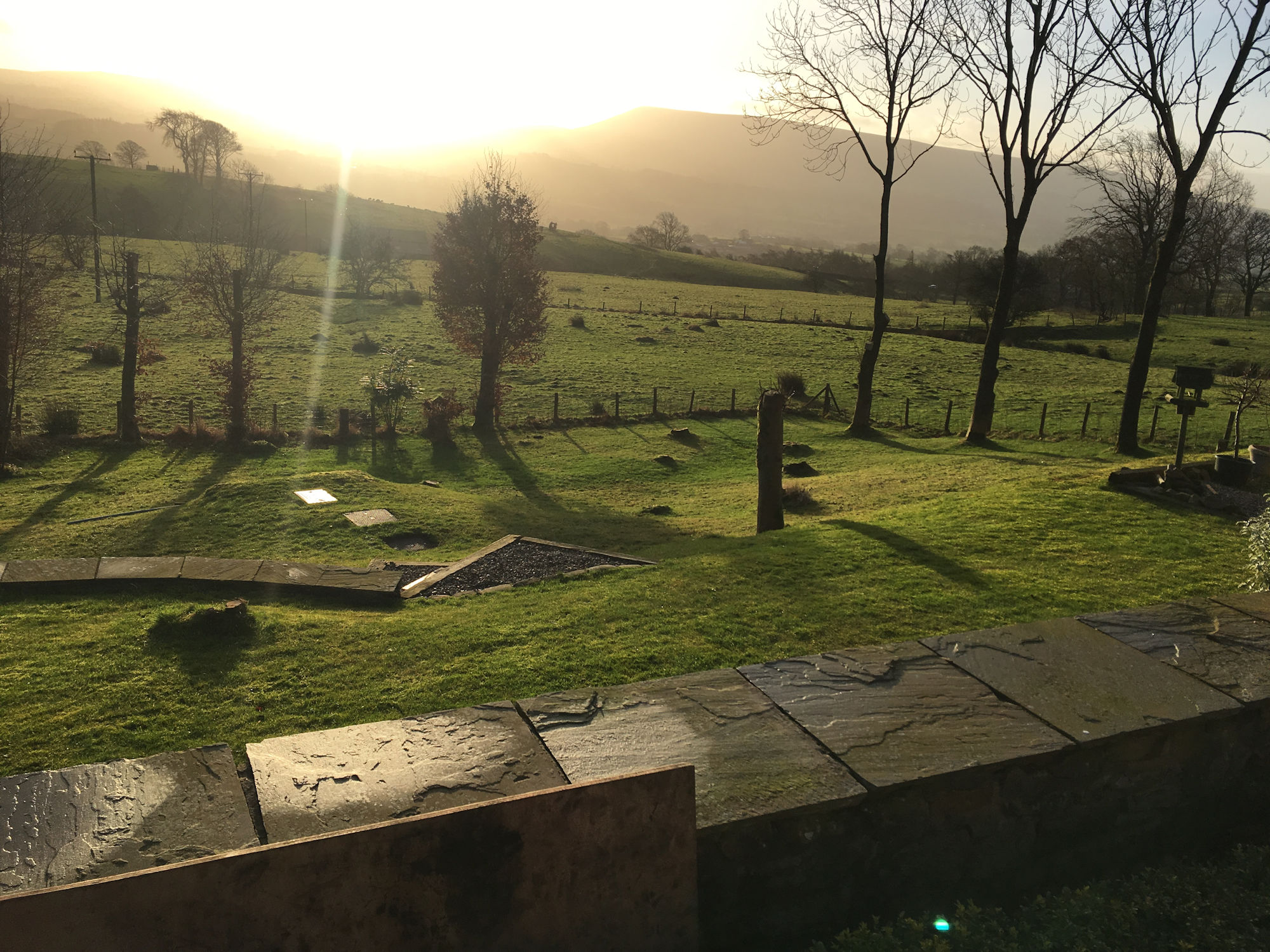 Stump grinding Grindleton • CMS Tree Services